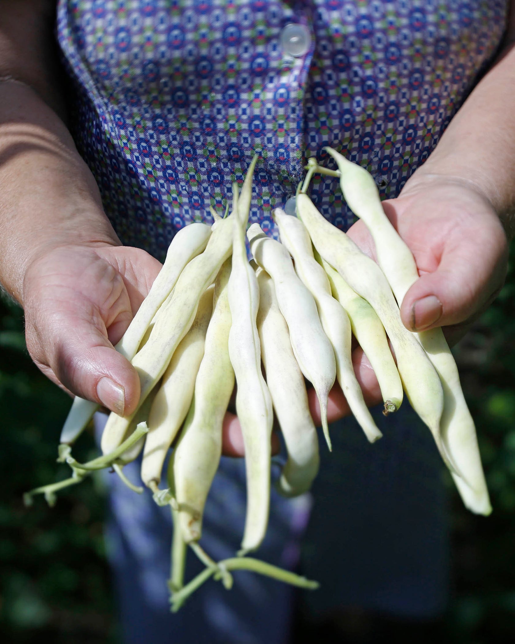 Fabada Casa Marcial 2/3 raciones – Petramora