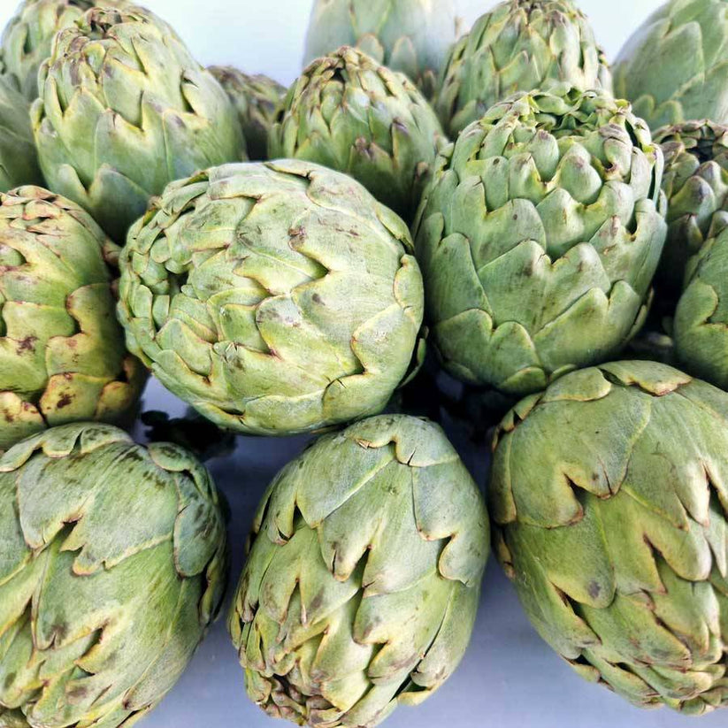 Comprar alcachofa fresca de Tudela online – Petramora
